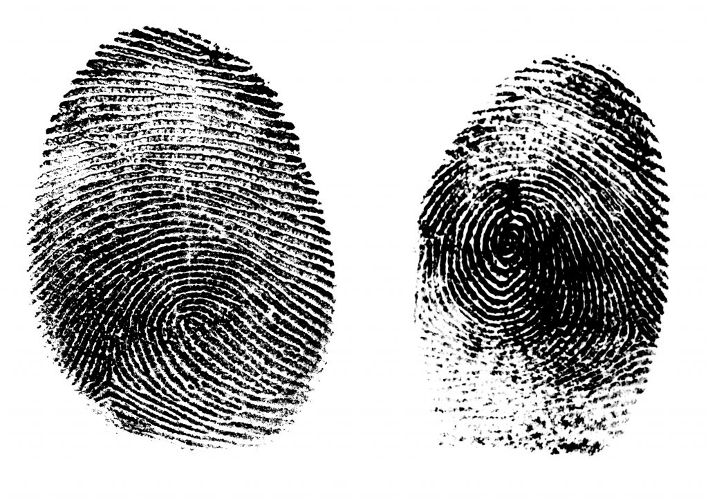 VIN plates: what they mean and why they're vital - Green Flag